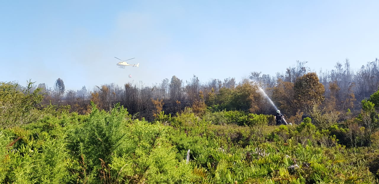 Onemi Declaró Alerta Roja A La Comuna De Futaleufú Por Incendios