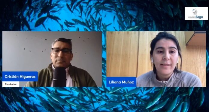 Implementarán proyecto de ensilaje de algas en la región de Los Lagos - RadioSago