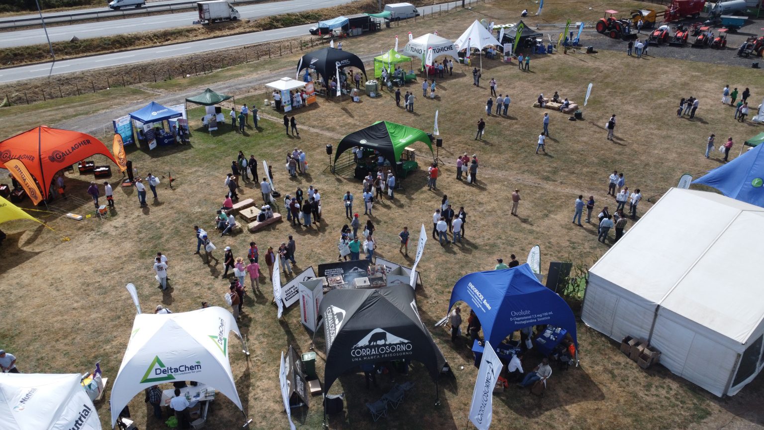 Negocios, innovación y oportunidades enla Expo Ferosor Campo&Negocios ...